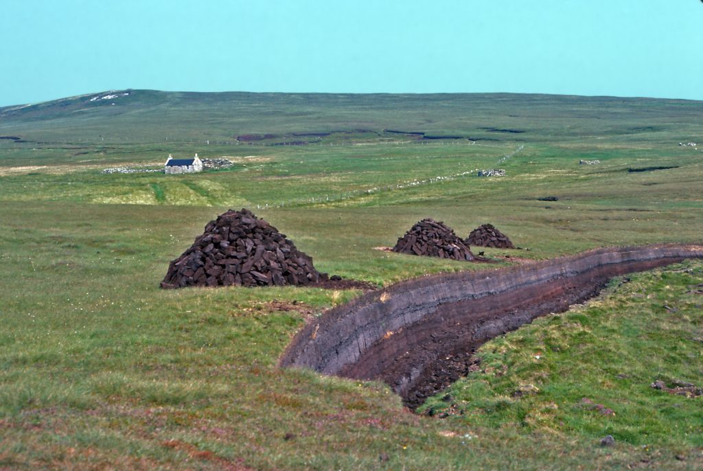 Peatlands are as important as forests to the global ecosystem – World ...